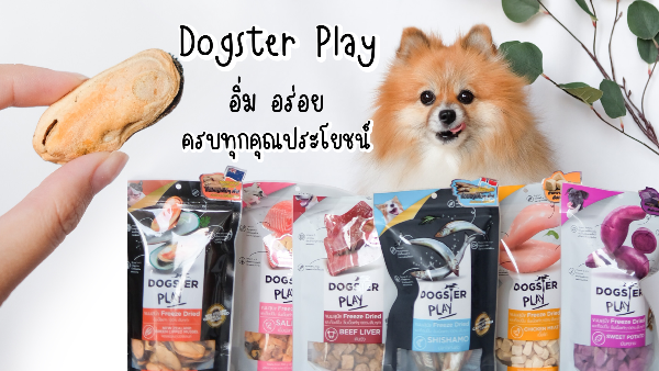 ดีบอกต่อ สุดยอดขนมฟรีซดรายทานเล่น สำหรับสุนัข Dogster Play