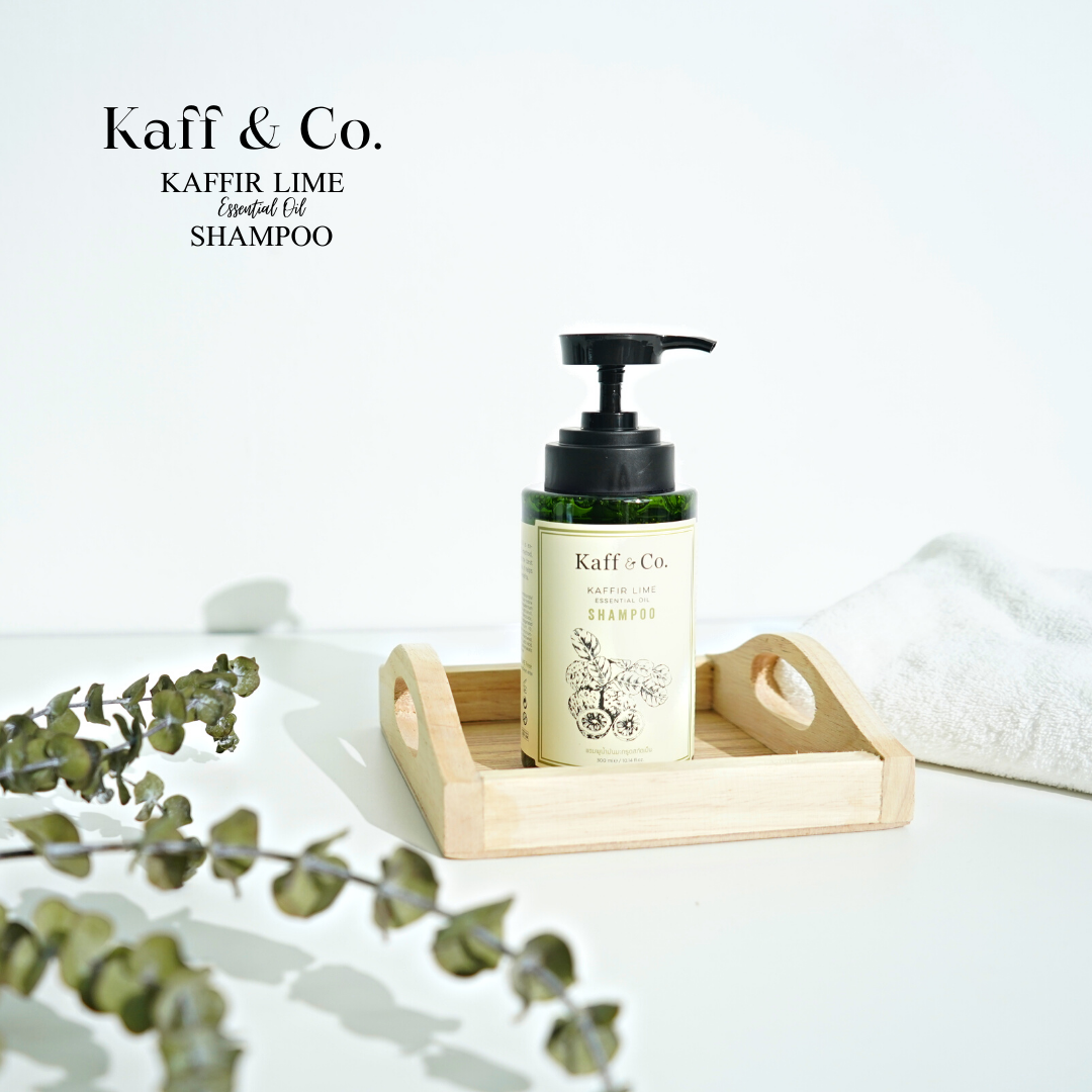 รีวิวแชมพูน้ำมันมะกรูดสกัดเย็น Kaff & Co.