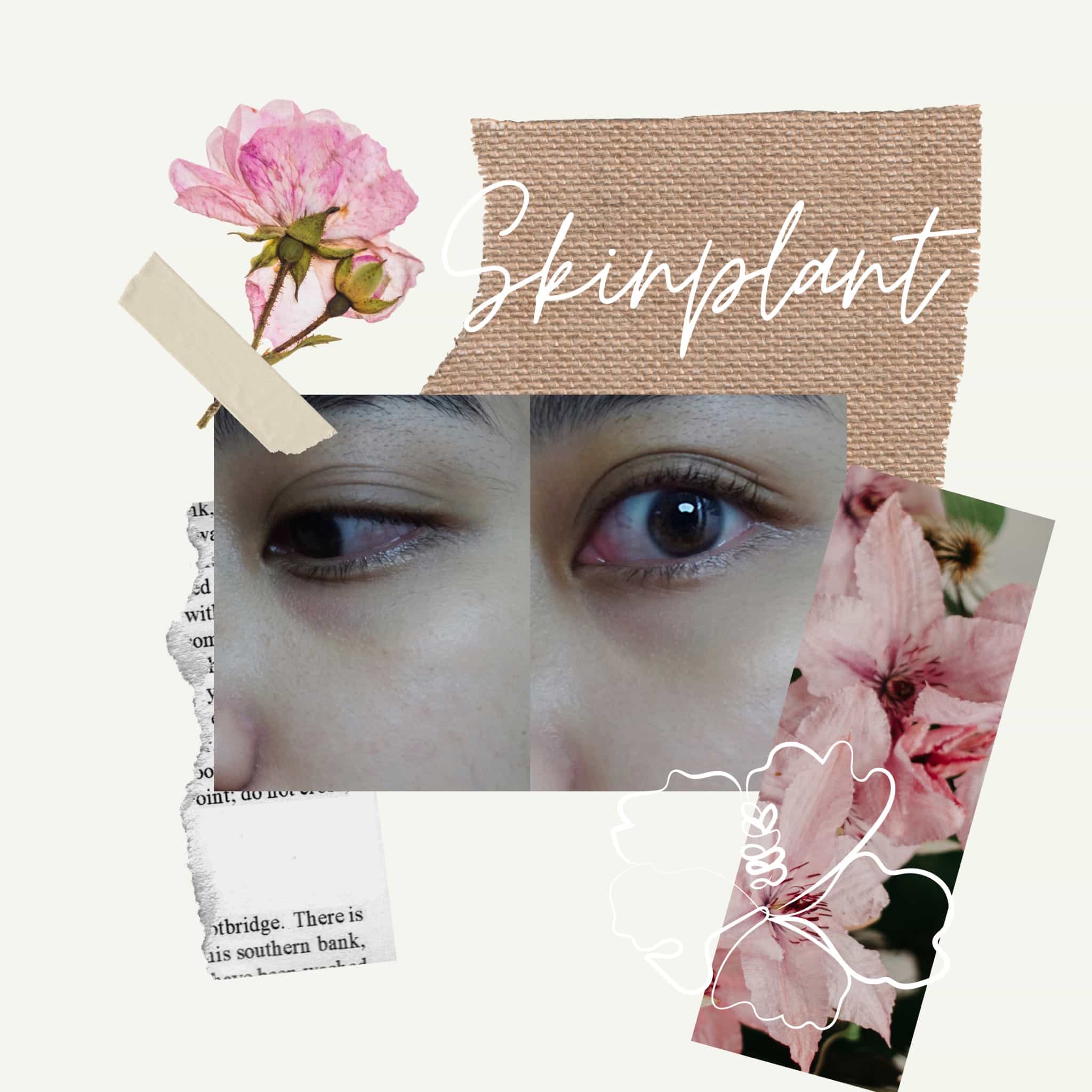 SKINPLANTS : GALACTIVATE Concentrate Essence Serum Ampule Set ด้วยนวัตกรรม “2X Postbiotics ...